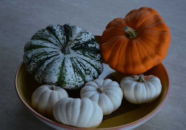 Zucchina patisson e il cetriolo limone, due varietà antiche | InOrto