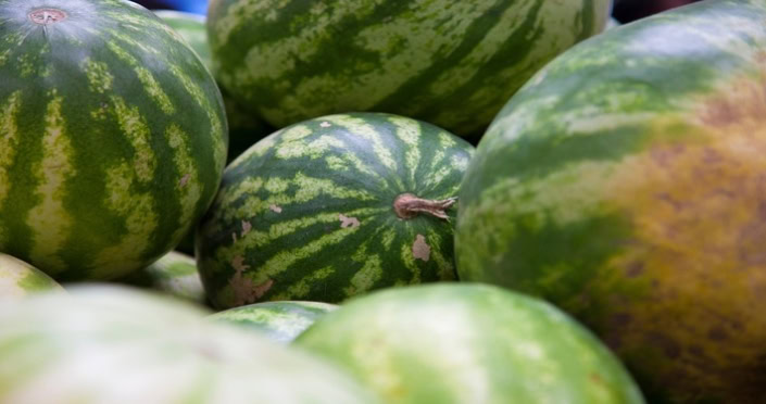 Tipi di angurie: varietà comuni e antiche | InOrto